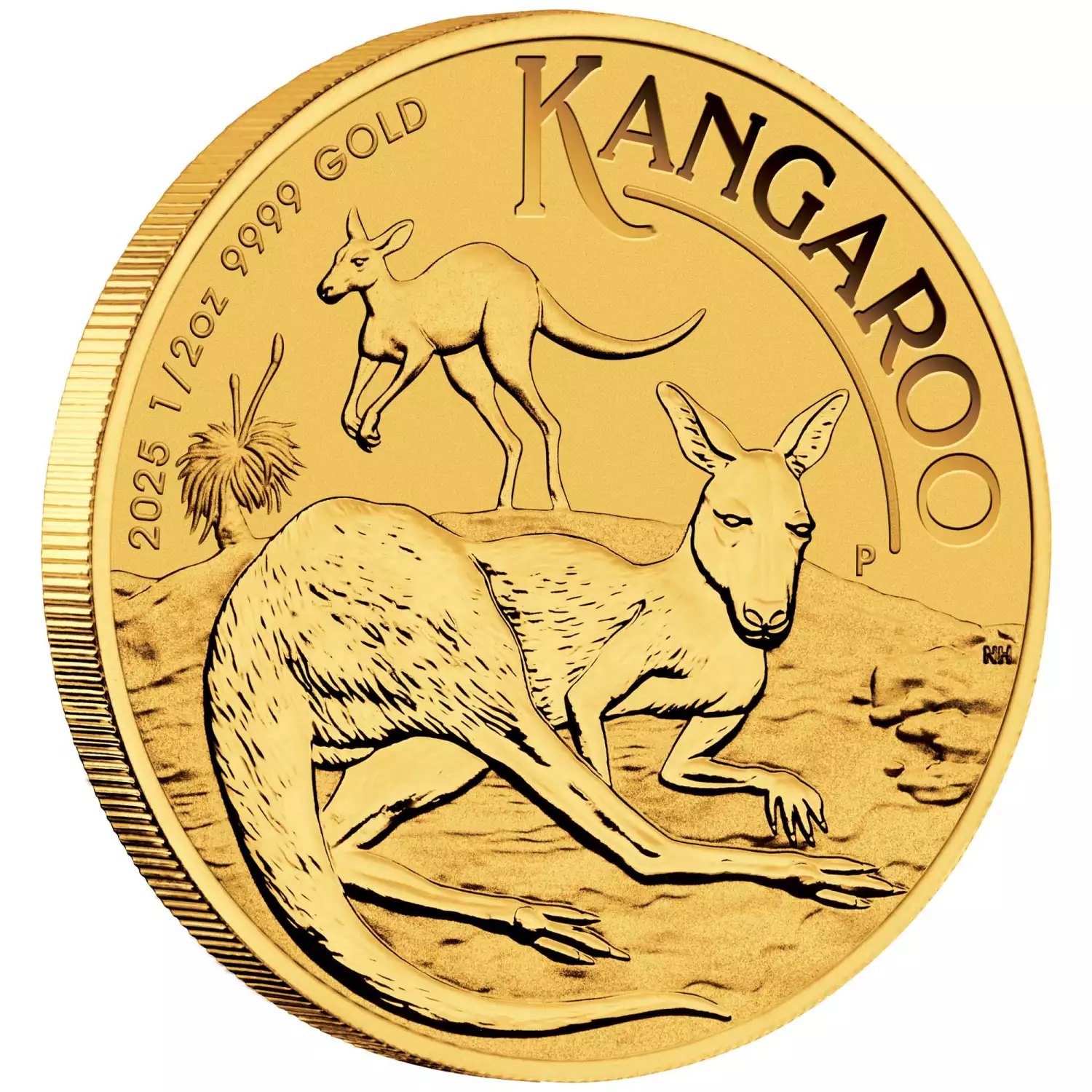 2025 1/2oz Australian Perth Mint Gold Kangaroo - Executive Currency