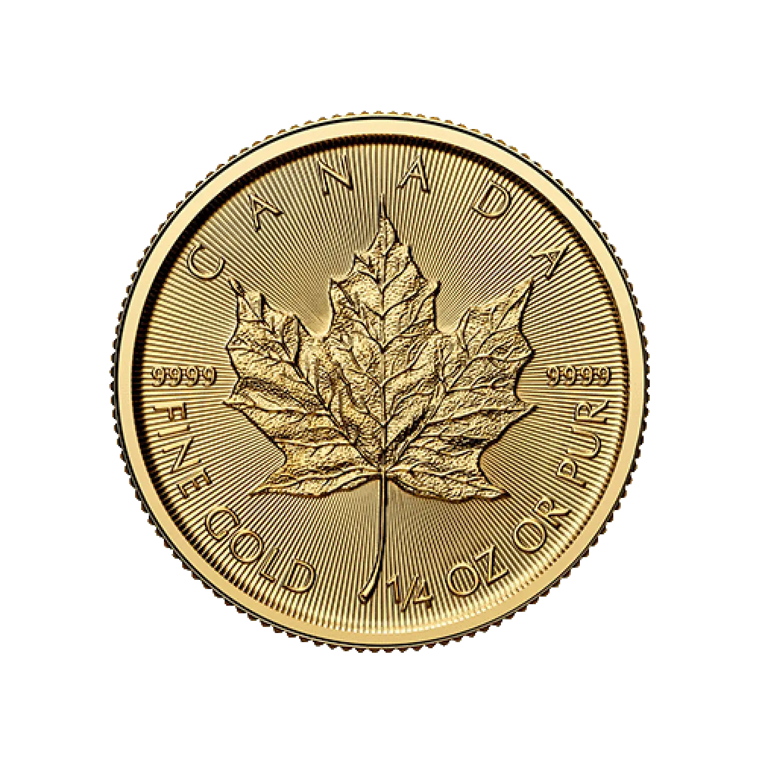 2026 1/4 oz Gold Maple Leaf Coin | Royal Canadian Mint - Executive Currency